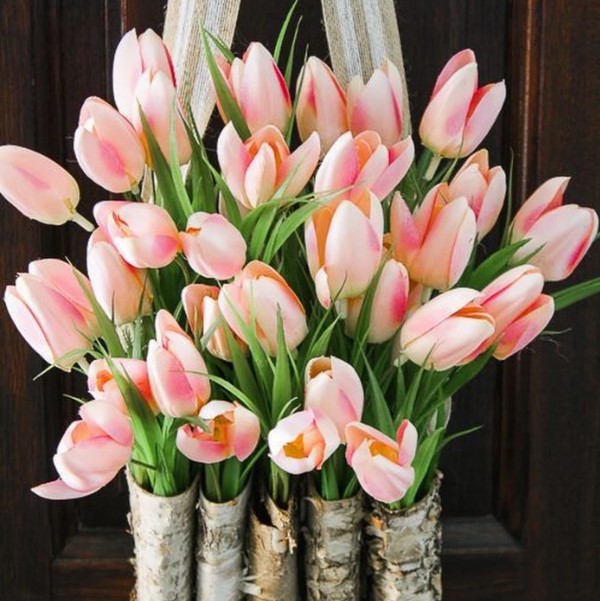 24 Varieties Tulip Seed, 100pcs/pack
